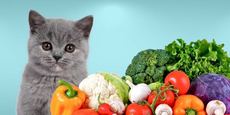 Can Cats Eat Peas? The Risks and Benefits