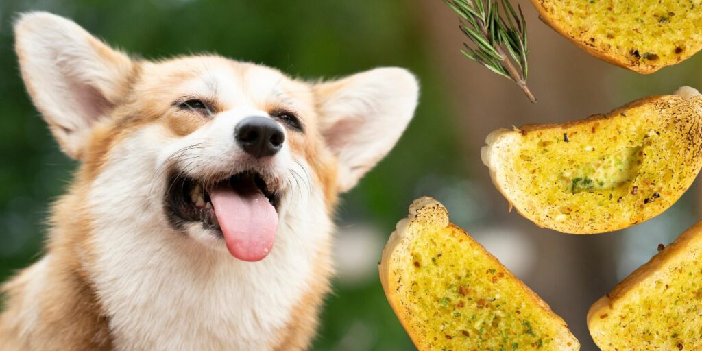 Can Dogs Eat Spaghetti? A Comprehensive Guide