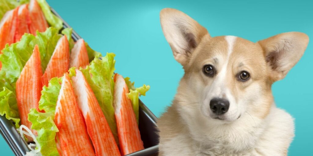 Can Dogs Eat Seafood? The Dos and Don'ts