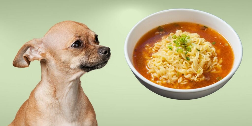 Can Dogs Eat Spaghetti? A Comprehensive Guide