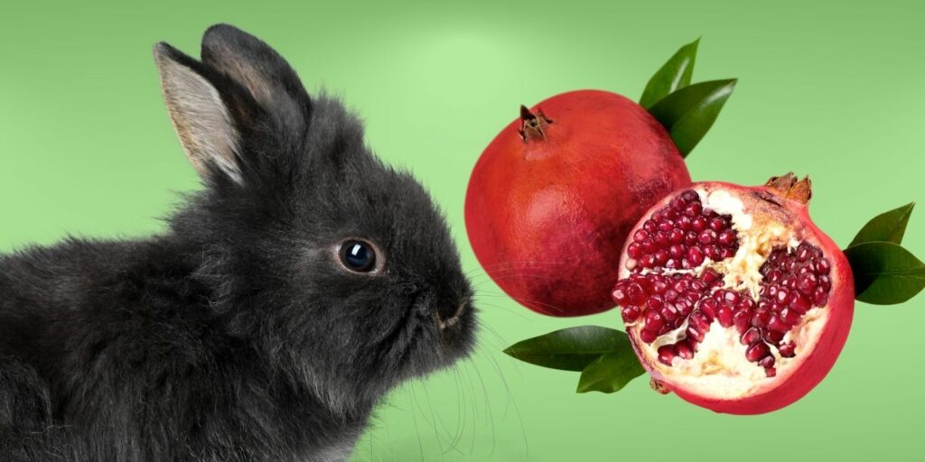 Can rabbits eat pineapple? A comprehensive guide