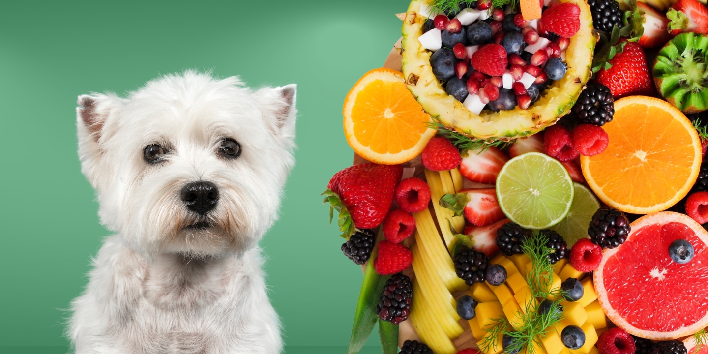 What Fruits Can Dogs Eat? - Pets Food Safety