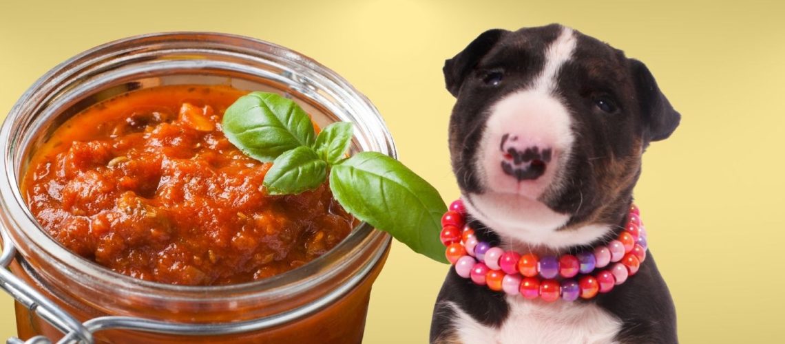 Can Dogs Eat Pasta Sauce? A Comprehensive Guide